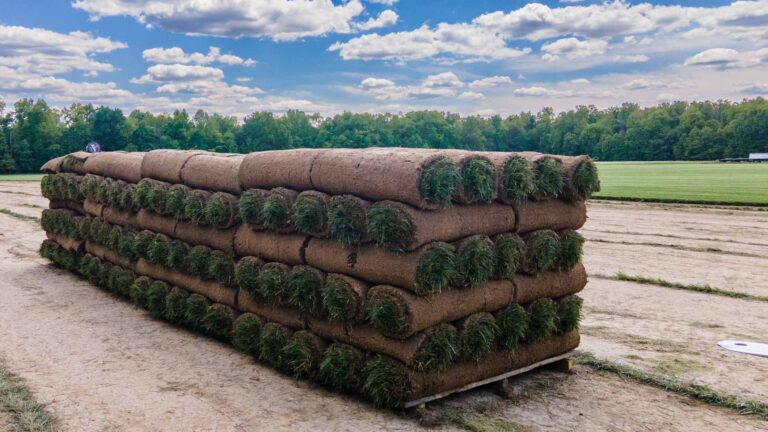 Sod for Sale | Sod Farm Serving Louisville, KY & Southern Indiana
